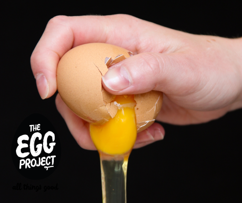 The Egg Project