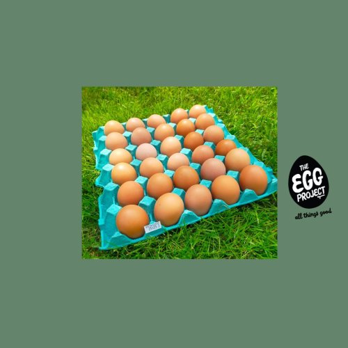 30 Farm Fresh Free Range Size 6 Eggs