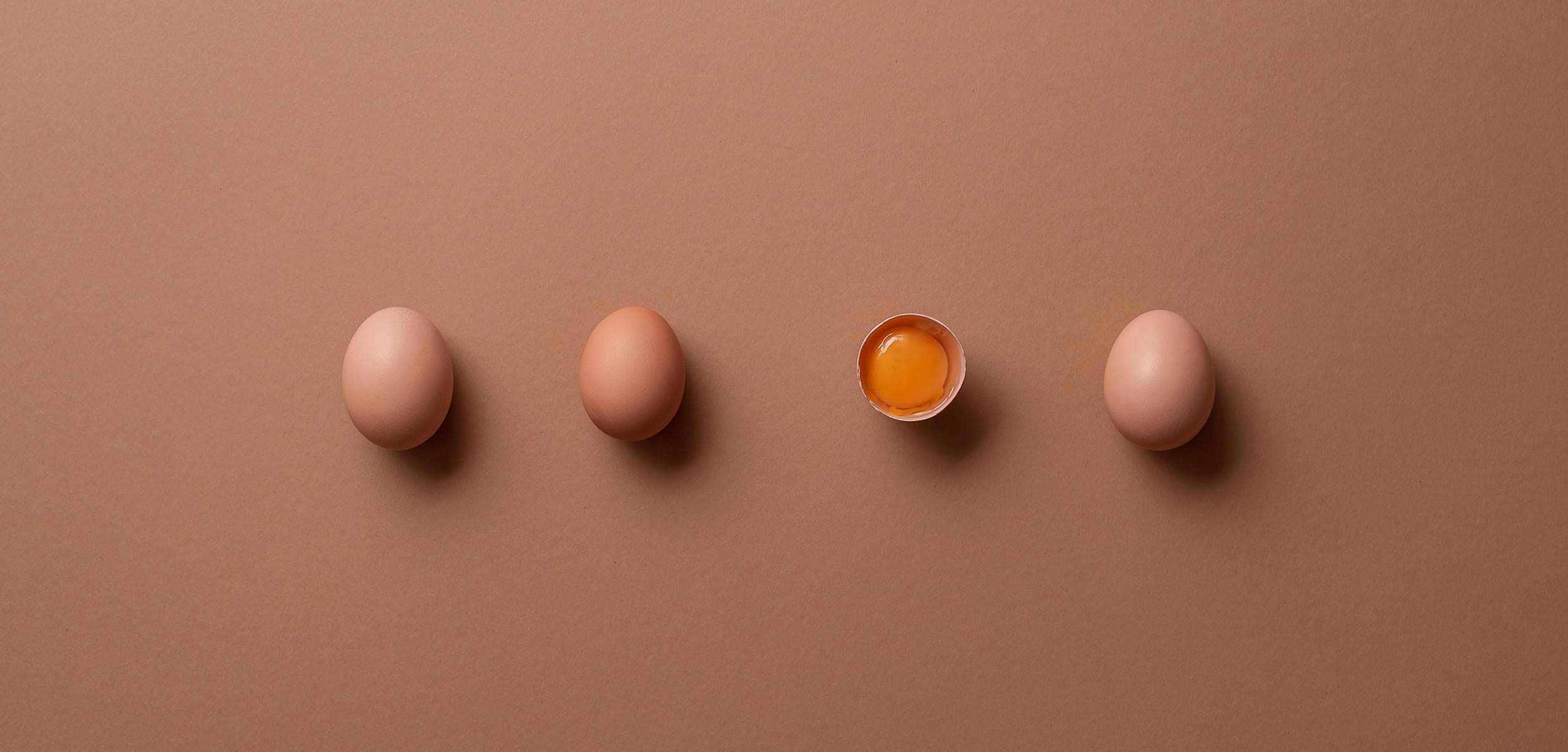 How It Works - The Egg Project